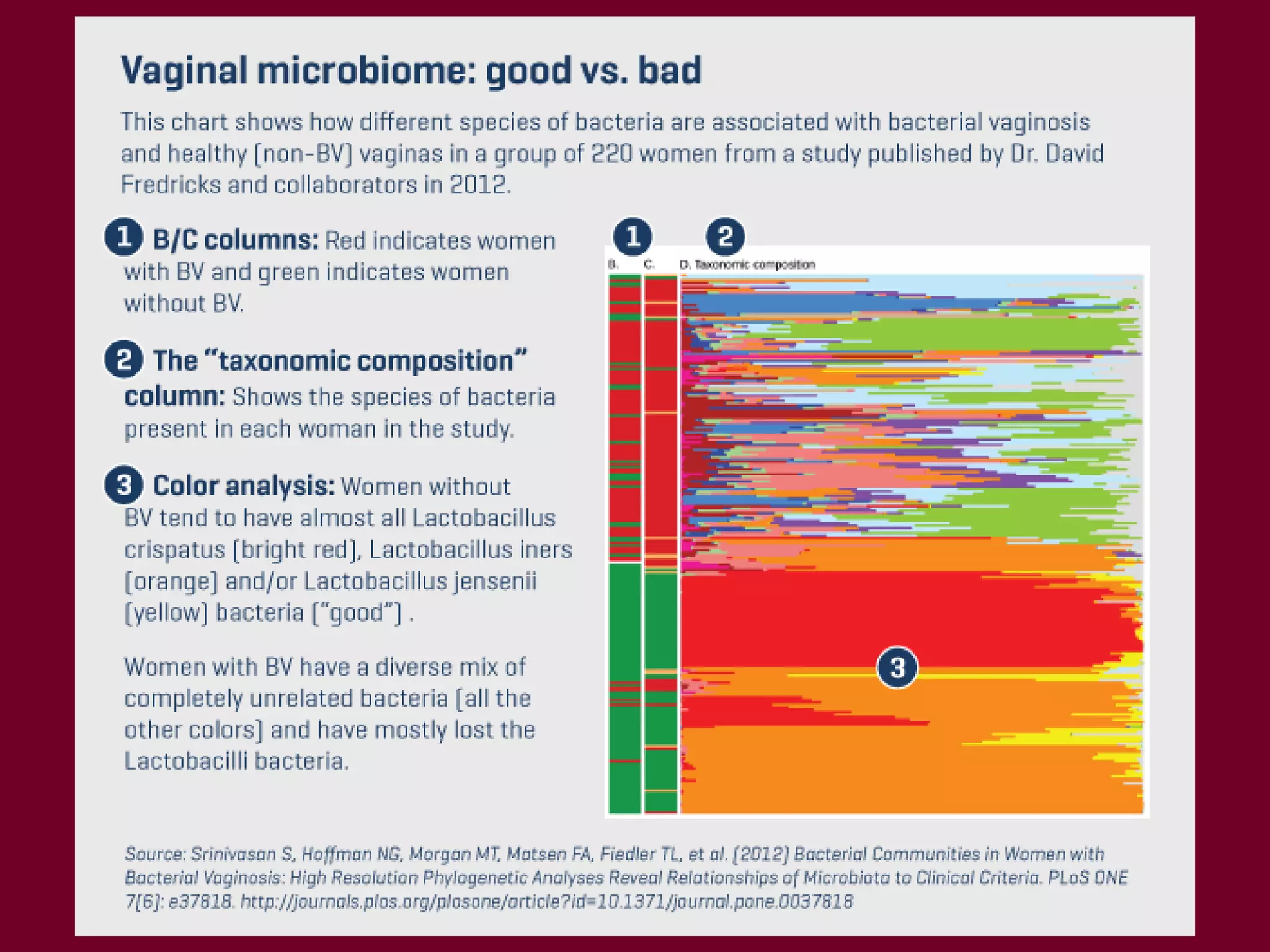 Vaginal microbiome | PPT