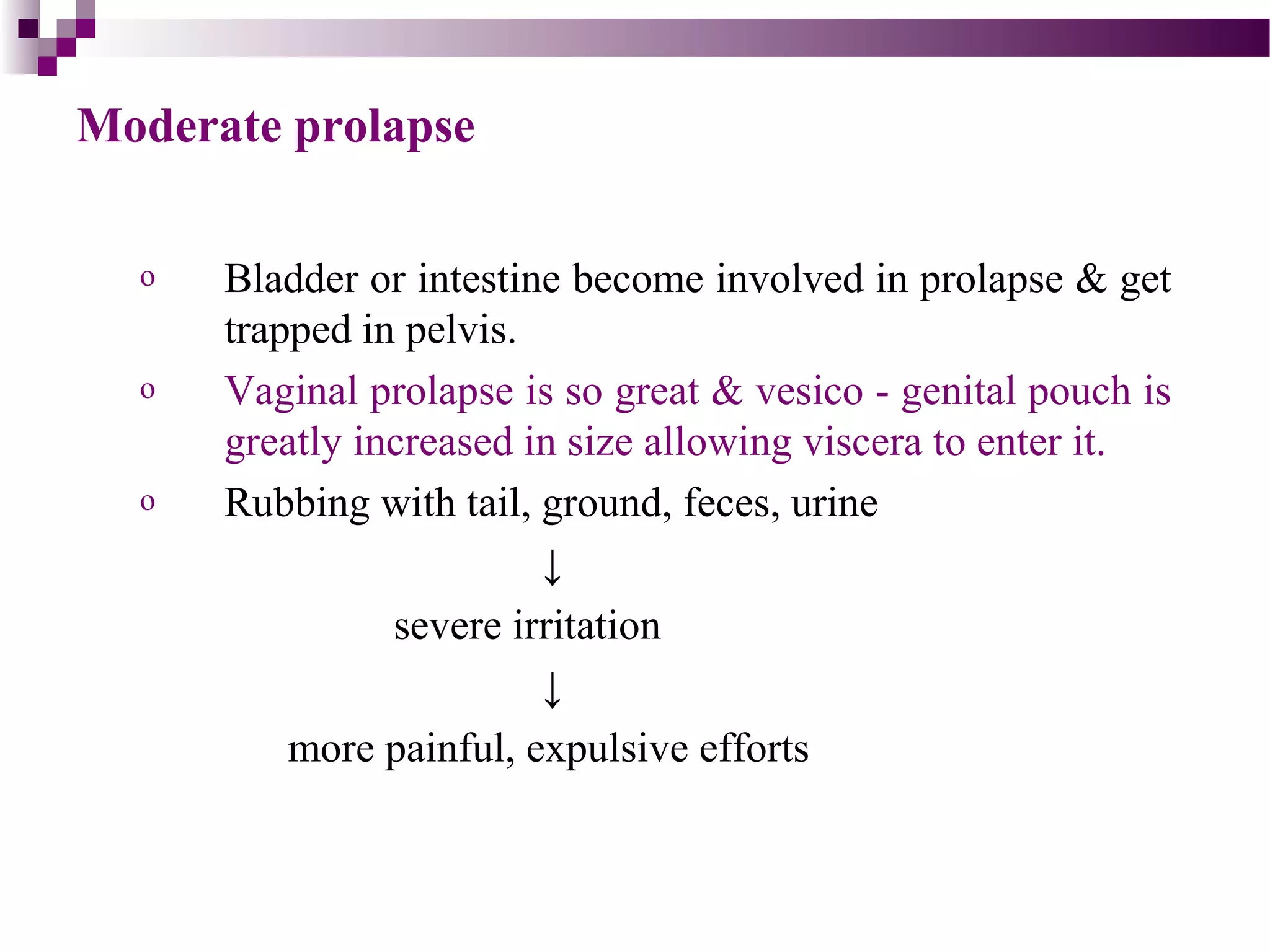 Vaginal & uterine prolapse in cattle | PPT