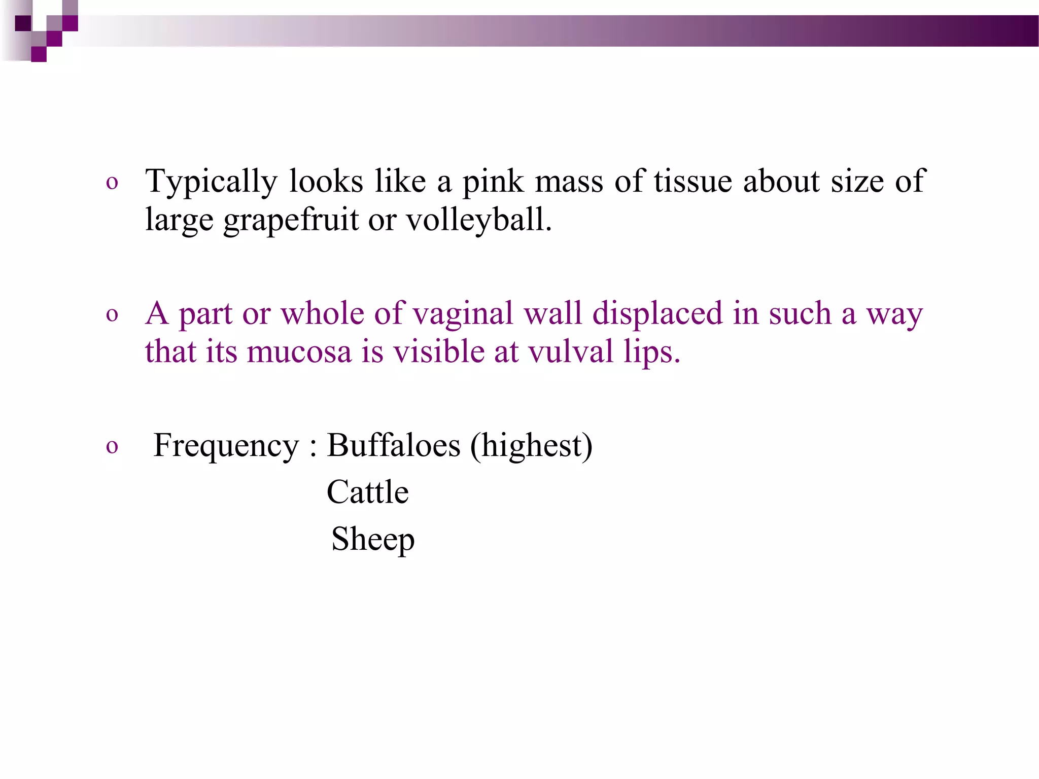 Vaginal & uterine prolapse in cattle | PPT