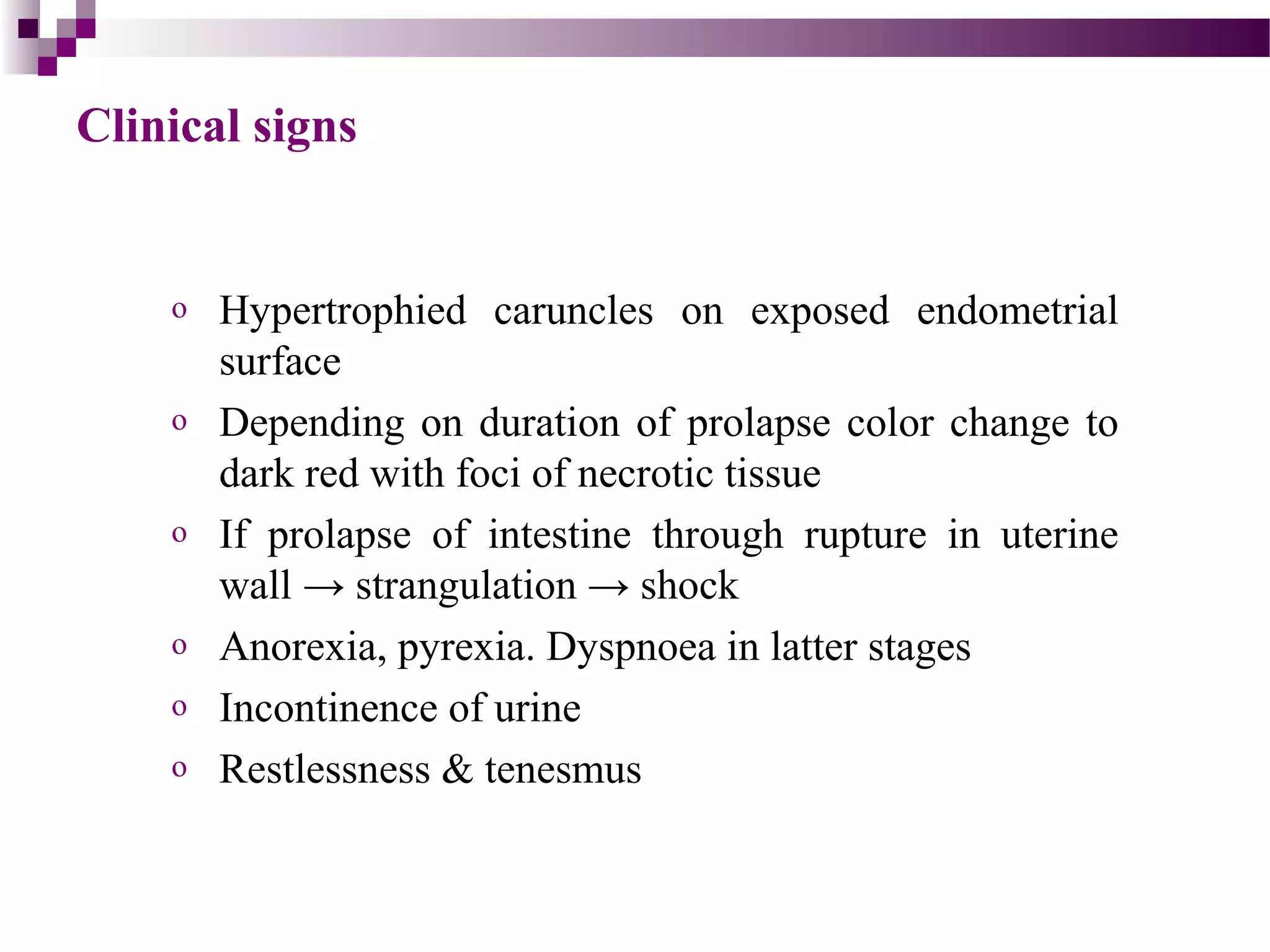 Vaginal & uterine prolapse in cattle | PPT