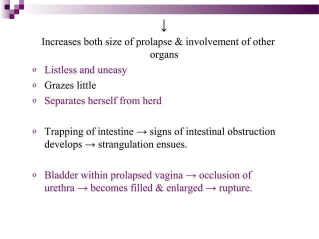 Vaginal & uterine prolapse in cattle | PPT | Pregnancy | Reproductive ...