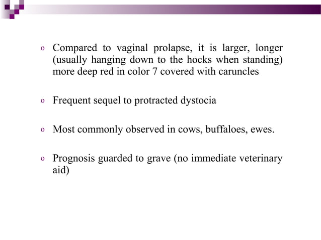 Vaginal & uterine prolapse in cattle | PPT | Pregnancy | Reproductive ...