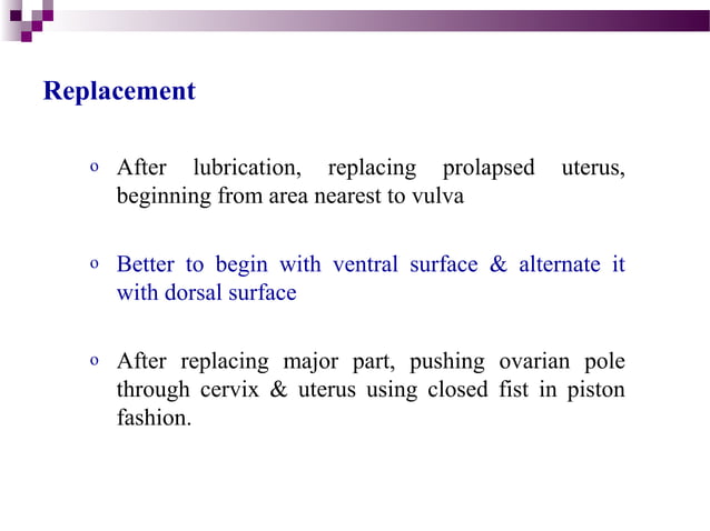Vaginal & uterine prolapse in cattle | PPT | Pregnancy | Reproductive ...