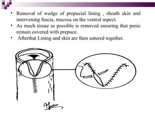 Vaginal & uterine prolapse in cattle | PPT