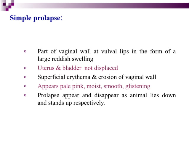 Vaginal & uterine prolapse in cattle | PPT | Pregnancy | Reproductive Health