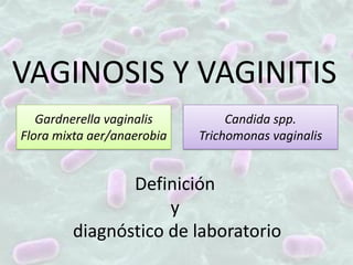 Vaginitis (por María Borrás) | PDF