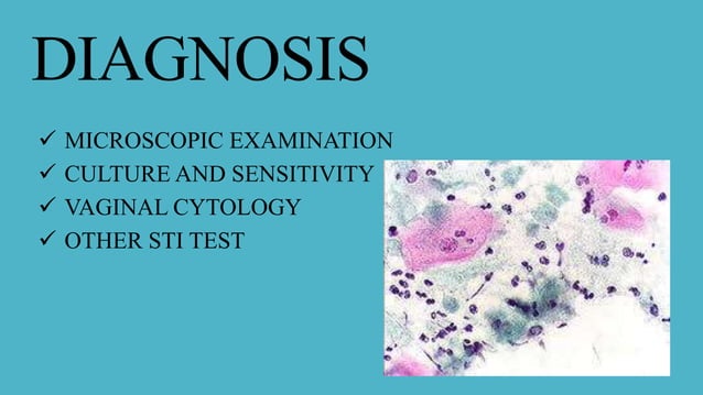 Vaginitis | PPTX | Sexual Conditions | Sexual Health