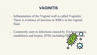 vaginitis.pptx