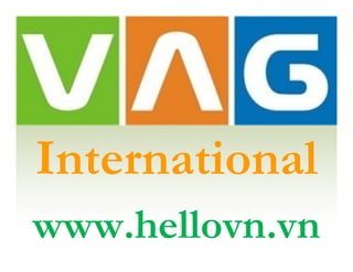 Vag international introduction | PDF