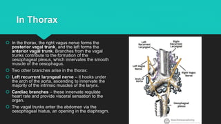 Vagus indigestion | PPTX