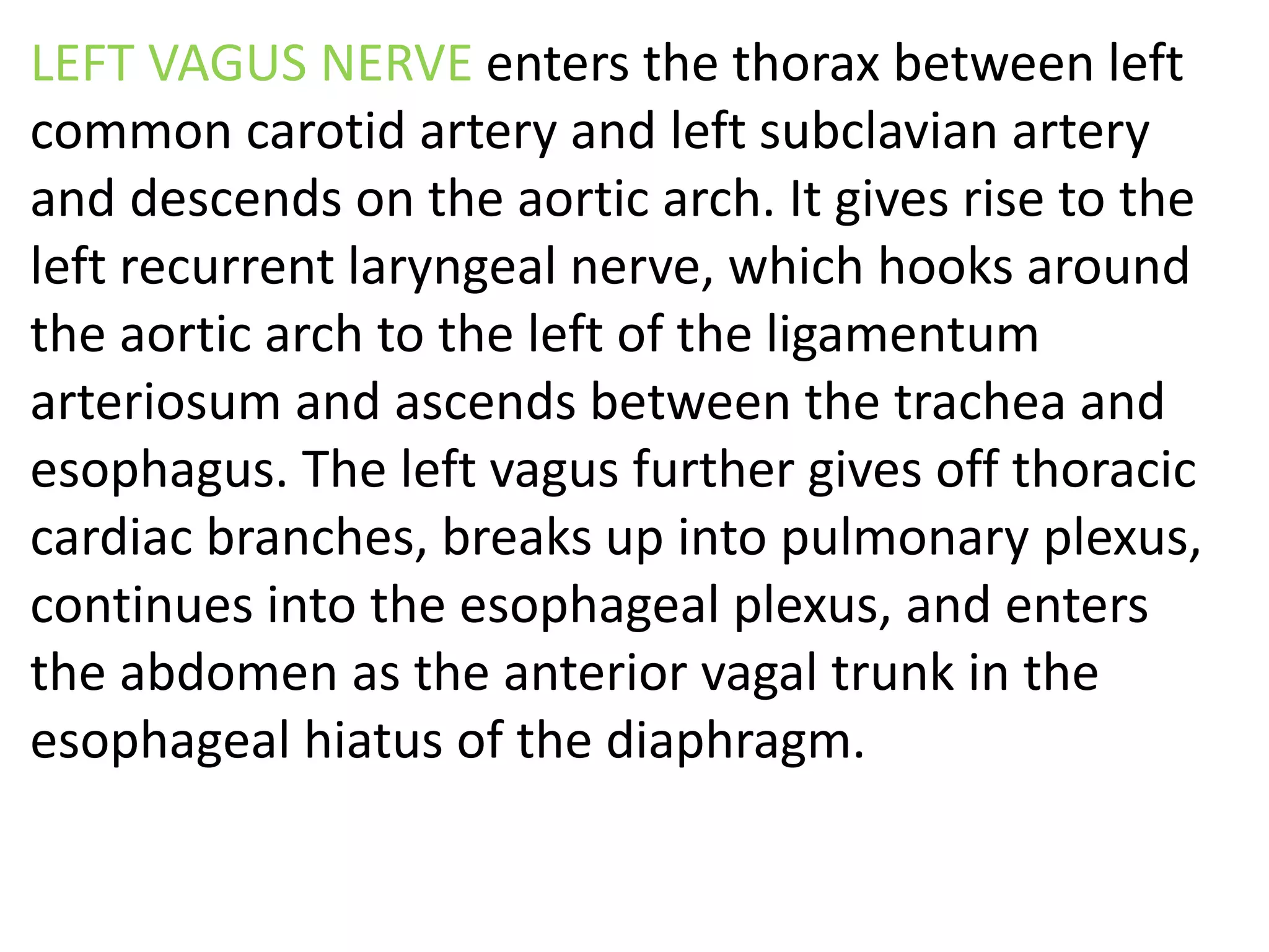 Vagus nerve | PPTX