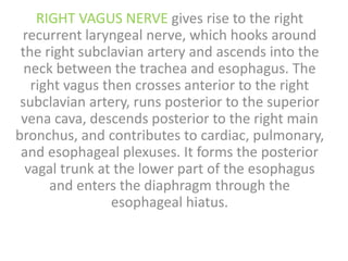 Vagus nerve | PPTX