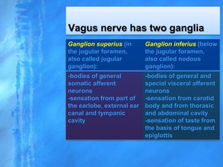 Vagus nerve | PPSX