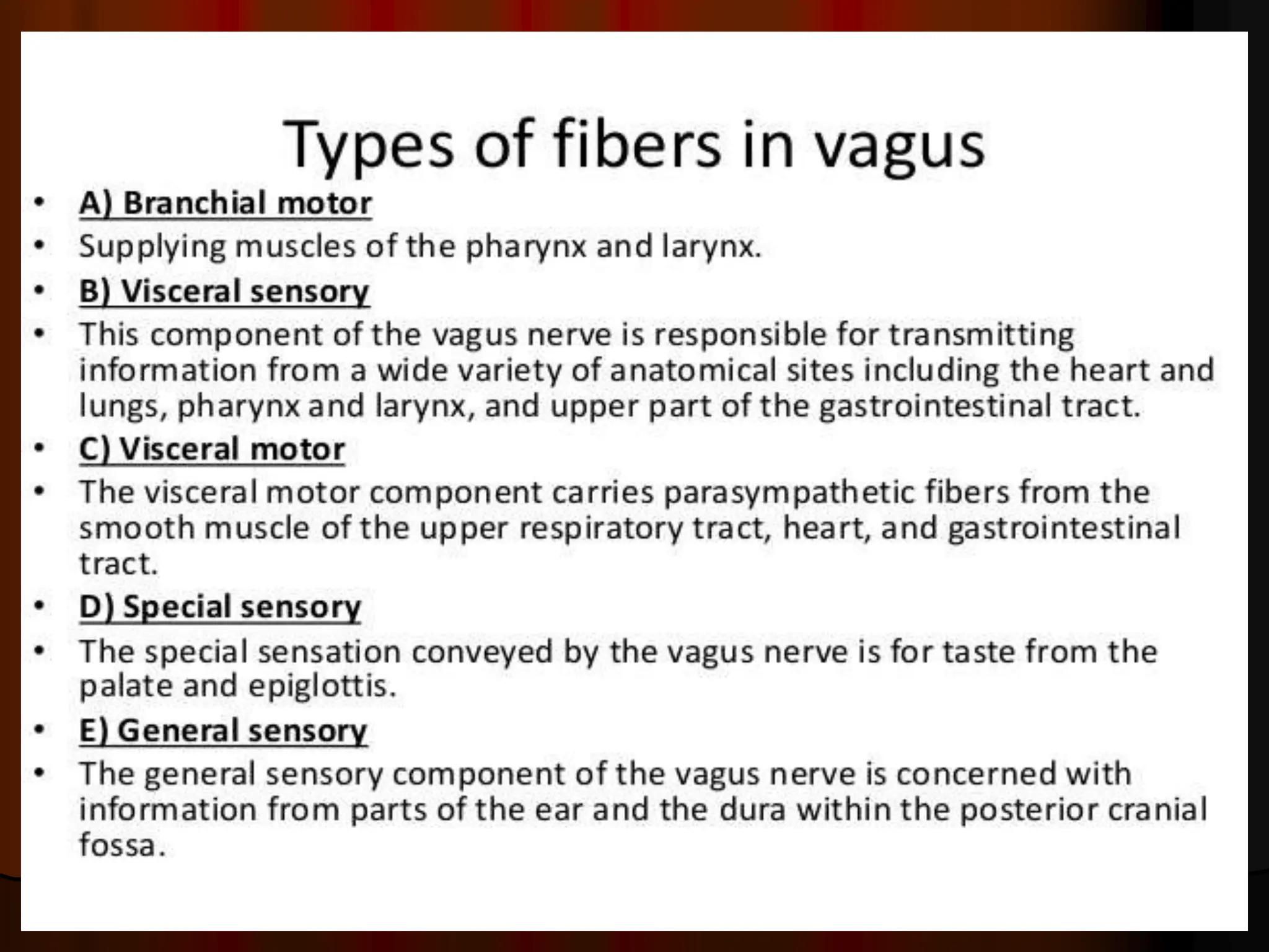 Vagus Nerve.ppt