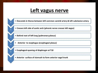 Vagus Nerve.ppt
