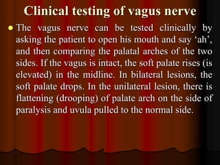 Vagus Nerve.ppt