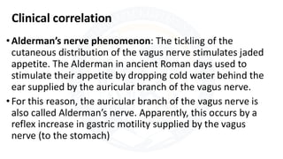 Vagus Nerve (tenth Cranial Nerve).pdffff | PDF