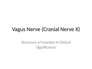 vagus_nerve_breakdown as part of the cranial nerve.pptx