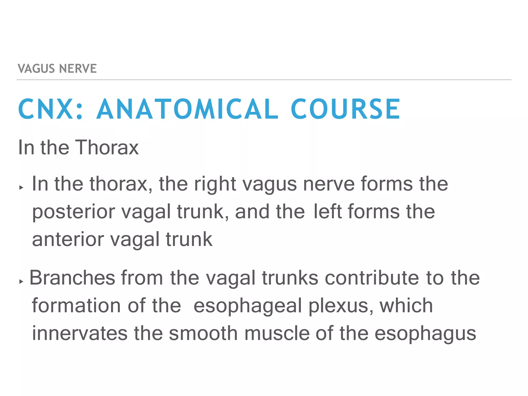 Vagusnerve JitenL.pptx