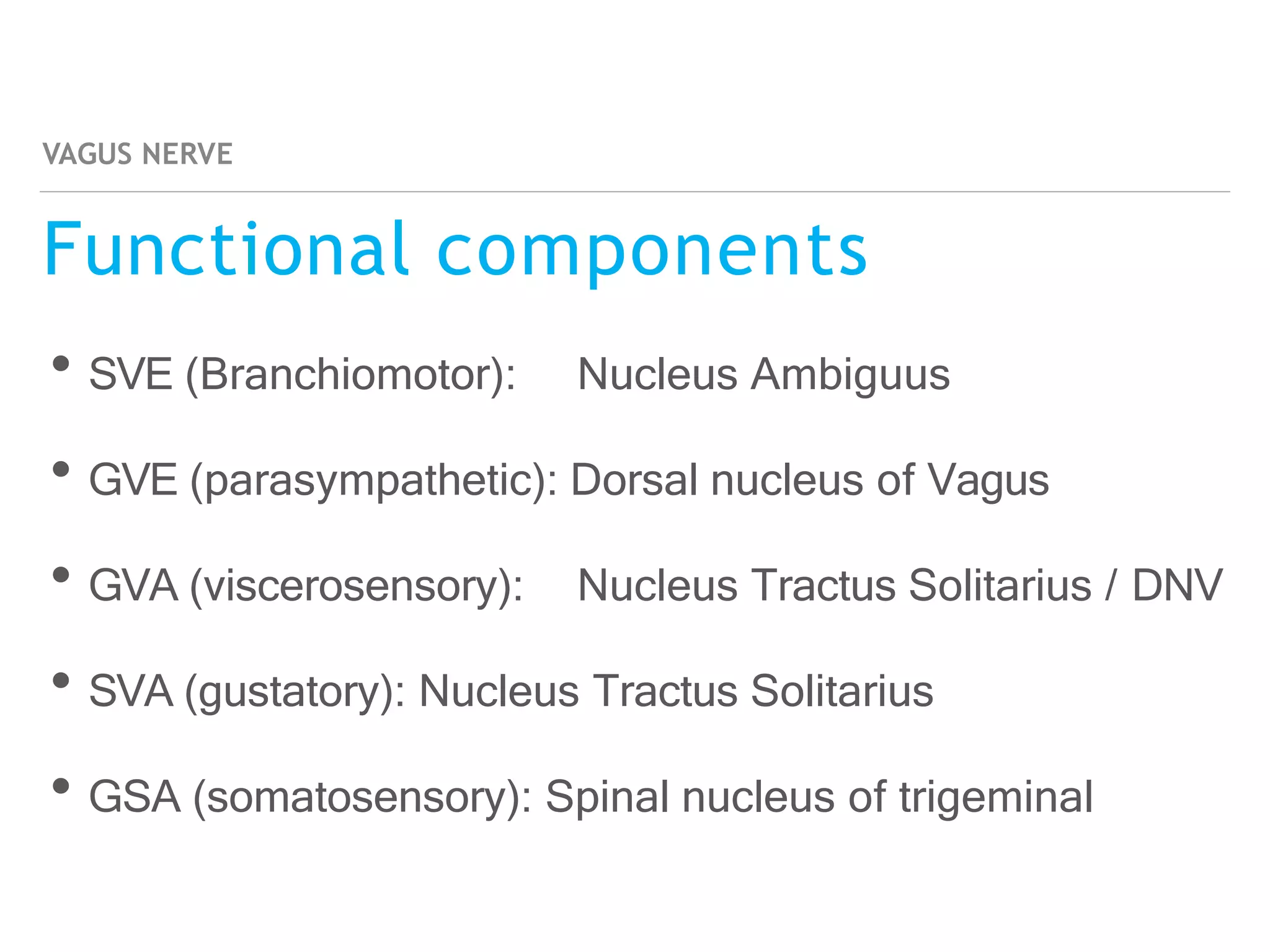 Vagusnerve JitenL.pptx
