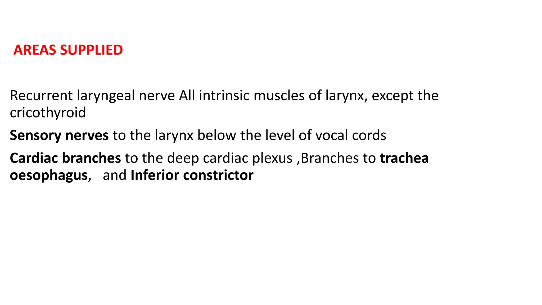 VAGUS NERVE ANATOMY IN HEAD AND NECK AND ITS BRANCHES | PPTX