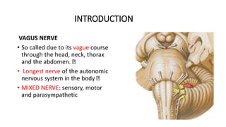 VAGUS NERVE ANATOMY IN HEAD AND NECK AND ITS BRANCHES | PPTX