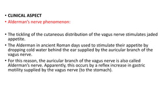 VAGUS NERVE ANATOMY IN HEAD AND NECK AND ITS BRANCHES | PPTX