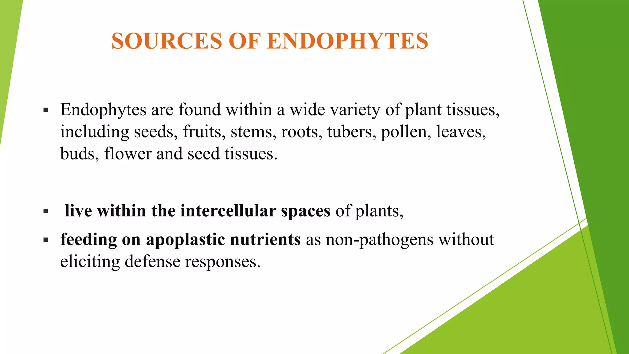 Endophytes | PPTX