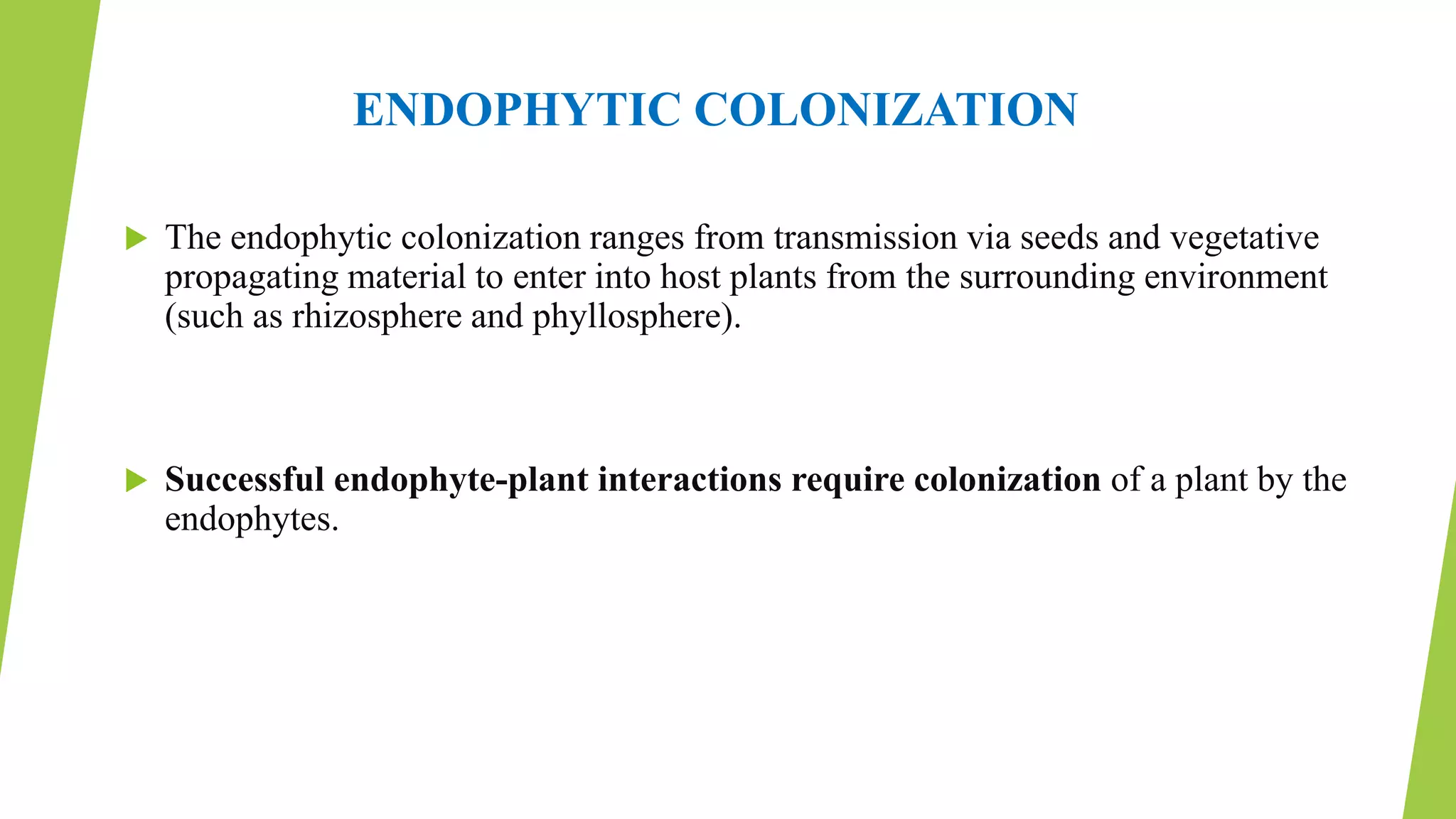 Endophytes | PPT