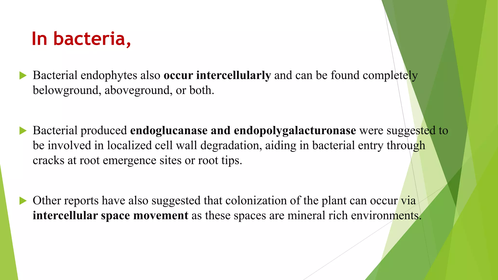 Endophytes | PPTX
