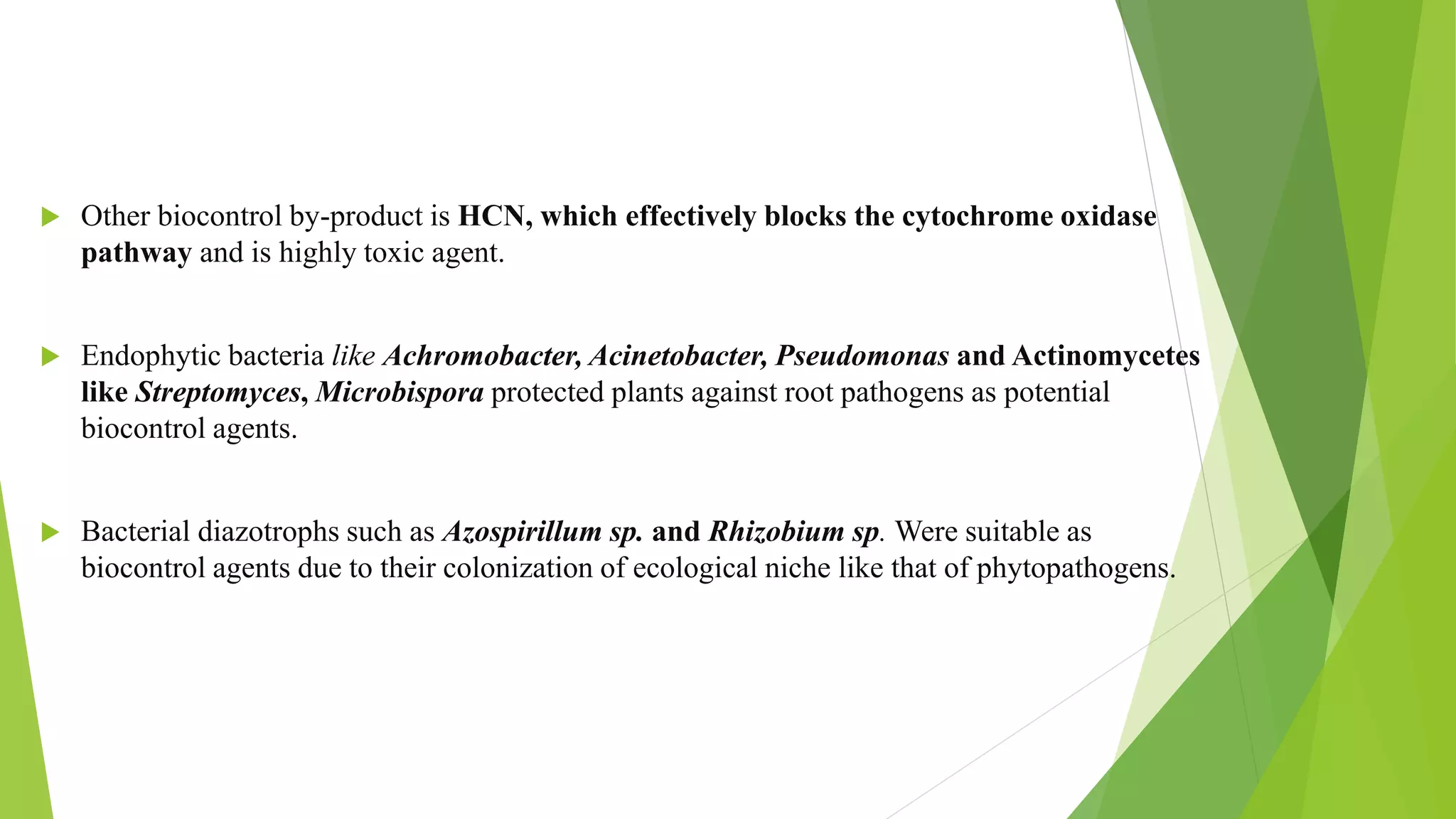 Endophytes | PPTX