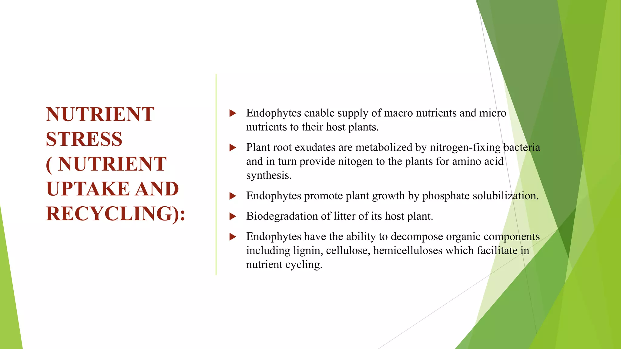 Endophytes | PPTX