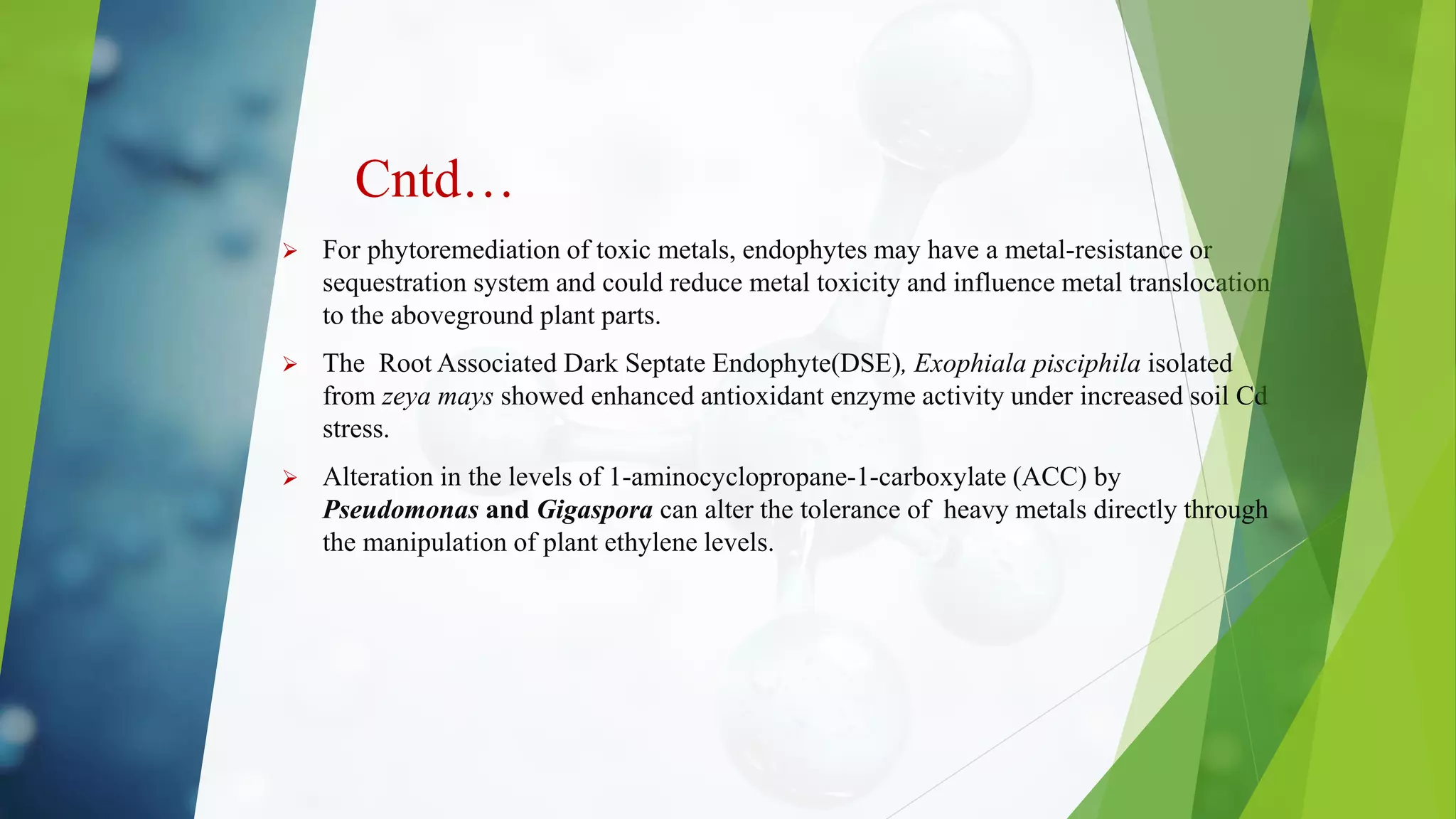 Endophytes | PPTX