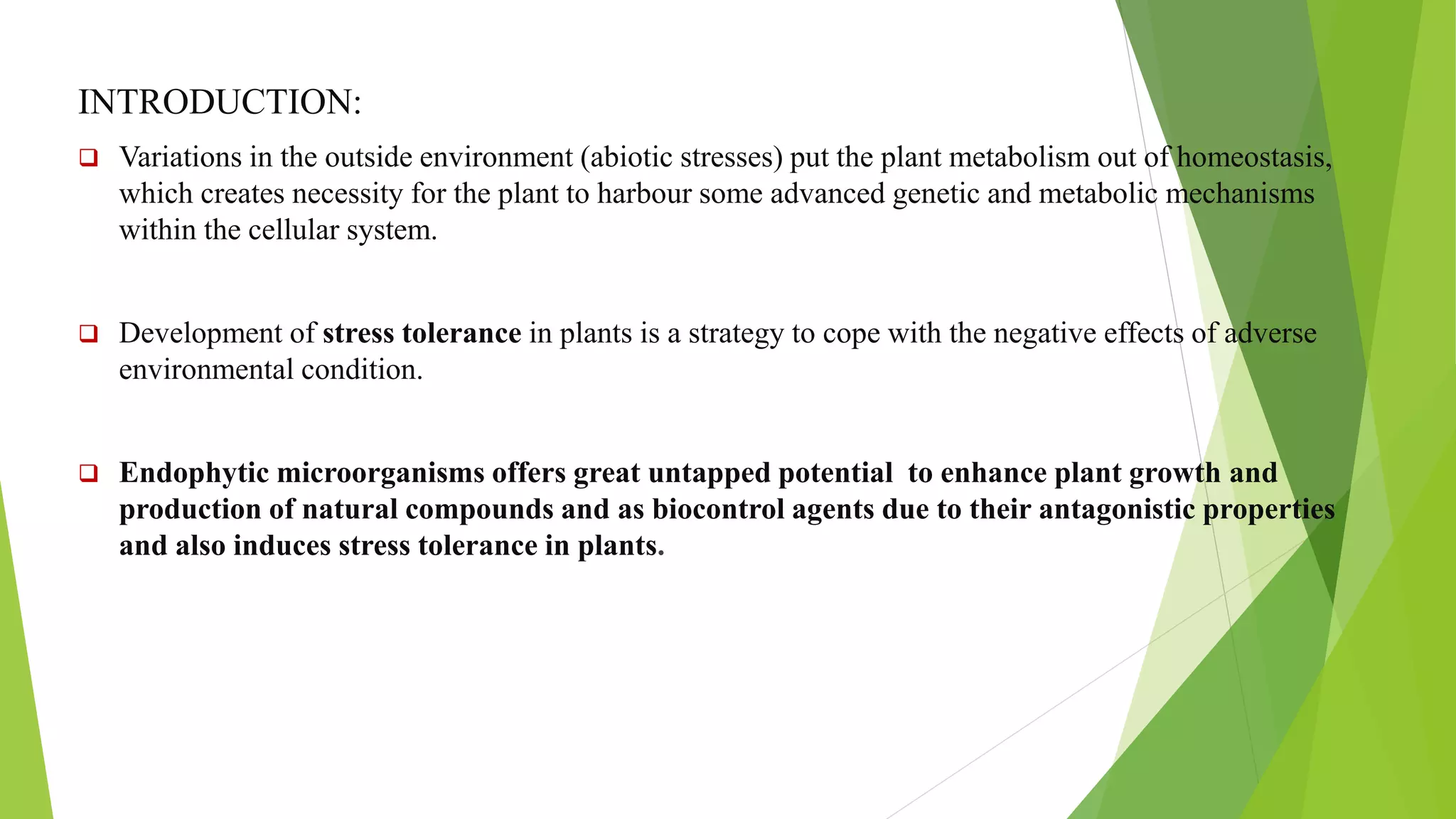 Endophytes | PPTX
