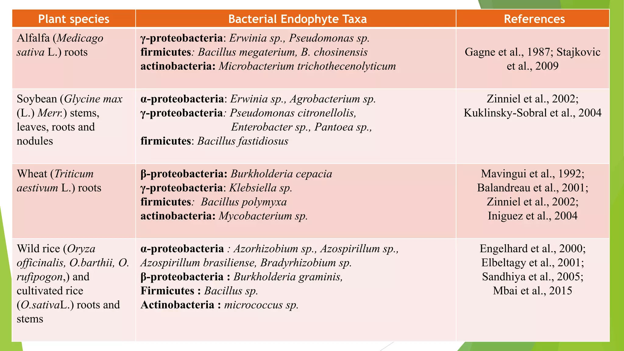 Endophytes | PPTX