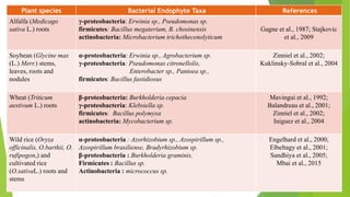 Endophytes | PPTX