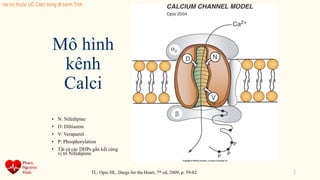 Vai tro-thuoc-uc-che-calci-trong-dieu-tri-benh-tang-huyet-ap-pham ...