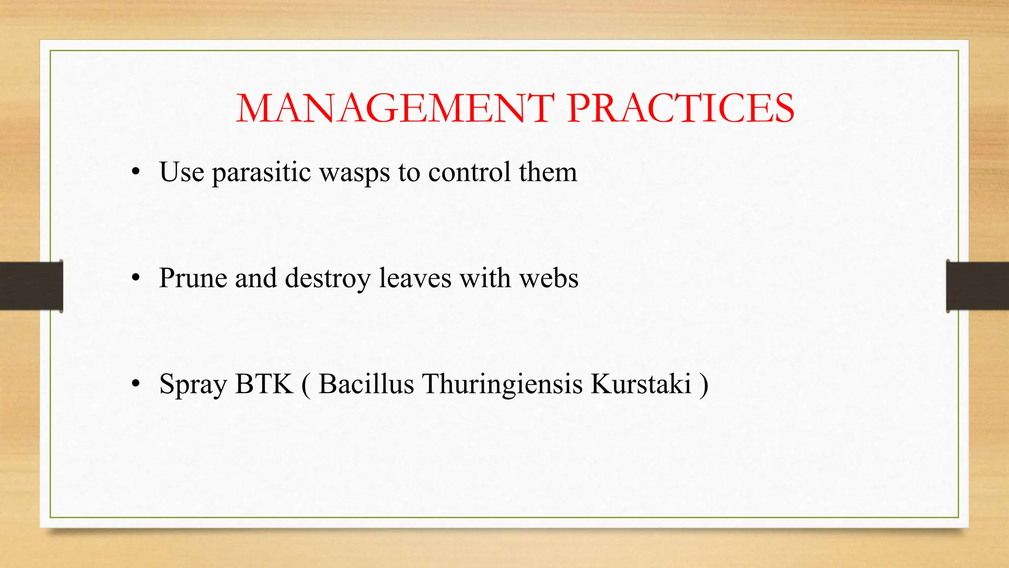 pest of horticulture crops and their management .pptx