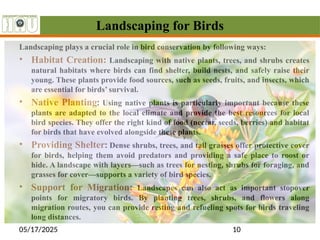 Role of Landscaping in environment improvement and ecology conservation ...