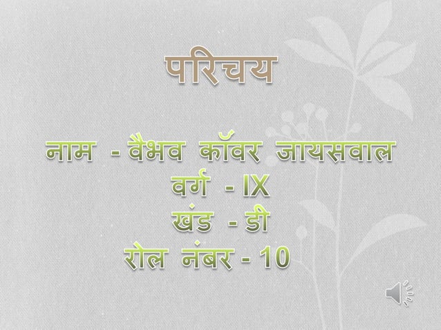 rural development ppt in hindi | PPTX