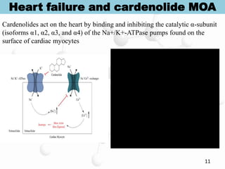Vaibhav ppt cardiotonic steroids | PPTX