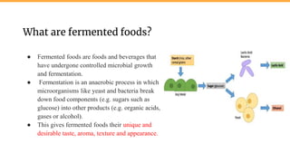 Vaish - Fermented Foods_ Types and their benefits .pptx