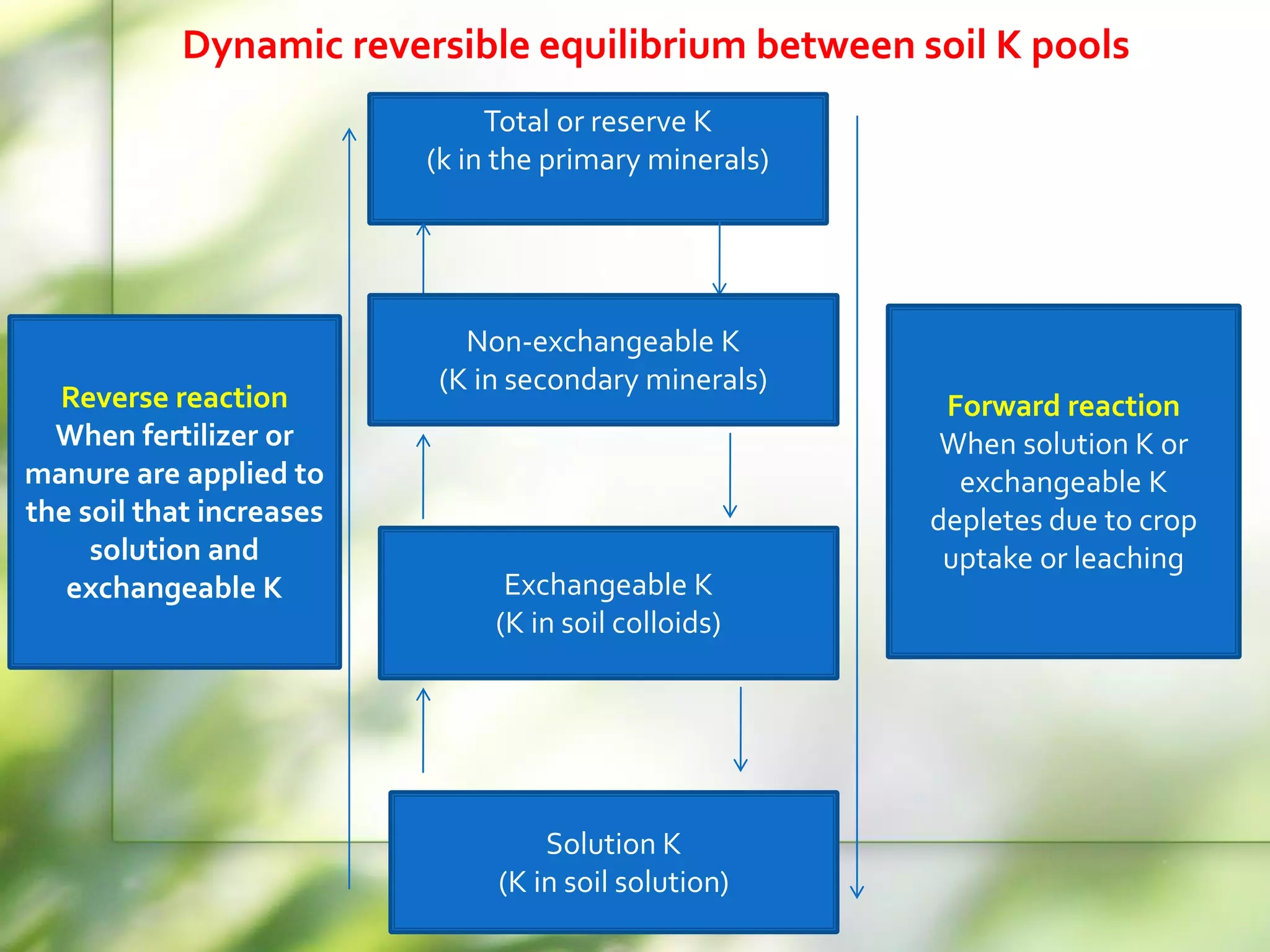 Potassium- Forms,Equilibrium in soils and its agricultural significance ,mechanism of potassium ...