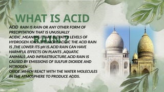 Aaryan Singh presentation of acid rain ppt | PPTX