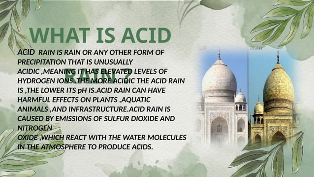 Aaryan Singh presentation of acid rain ppt | PPT