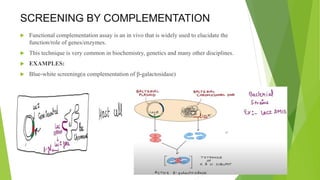 VAISHNAVI GHUGAL(SCREENING OF RECOMBINANTS).pptx