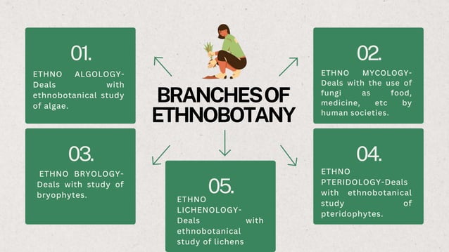 Vaishnavi s -Ethanobotany_20240405_201554_0000.pptx