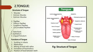 Disorders of sensory organs | PPTX