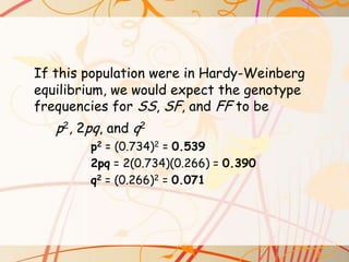Hardy-Weinberg Equilibrium | PPSX
