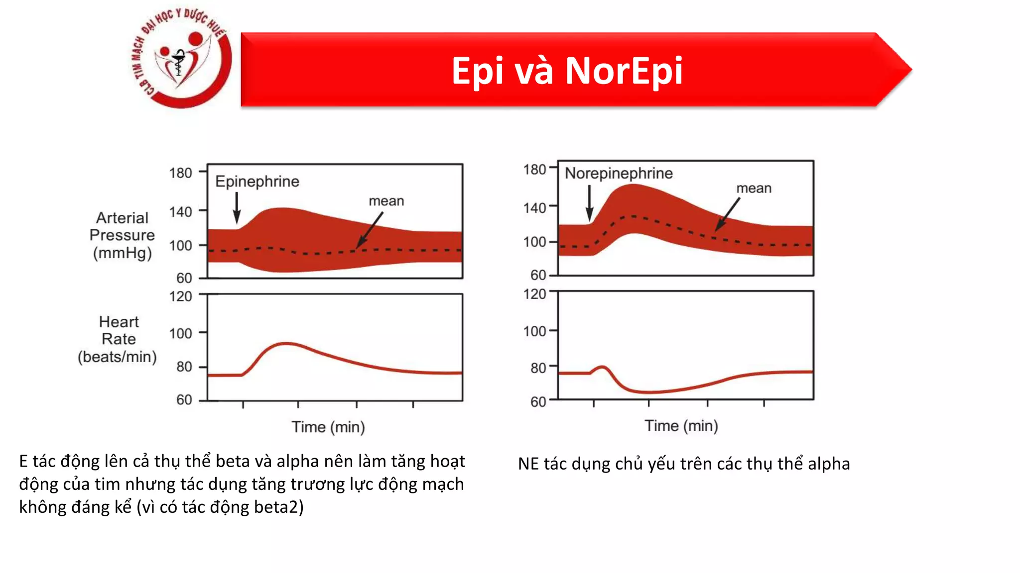 VAI TRÒ CỦA HỆ THẦN KINH VÀ THỂ DỊCH TRONG ĐIỀU HÒA HOẠT ĐỘNG TIM MẠCH.pptx